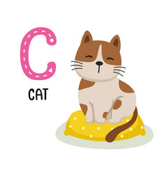Alphabet c with cat Royalty Free Vector Image - VectorStock