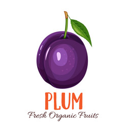 Realistic plum collection plums 3d Royalty Free Vector Image