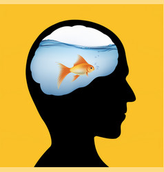 Human evolution infographics Royalty Free Vector Image