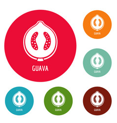 Fruit circle Royalty Free Vector Image - VectorStock