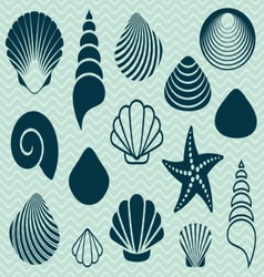 Sea shells Royalty Free Vector Image - VectorStock