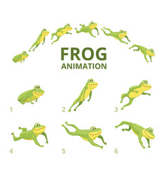 Frog jumping animation various keyframes for Vector Image