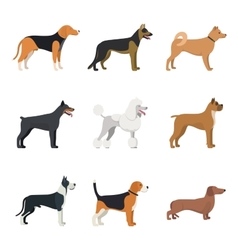 Dogs Royalty Free Vector Image - VectorStock