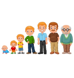Development stages man Royalty Free Vector Image