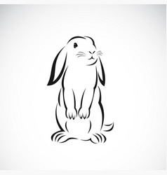 Cute rabbit cartoon isolated on white background Vector Image
