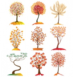 Decorative tree silhouette in autumn with leaves Vector Image