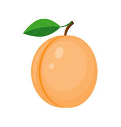 Colorful cartoon apricot Royalty Free Vector Image