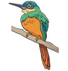 Educational of cartoon south american animals set Vector Image