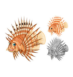 Lionfish Royalty Free Vector Image - VectorStock