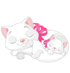 Cute white cat Royalty Free Vector Image - VectorStock