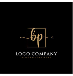 Bp initial handwriting logo with rectangle Vector Image