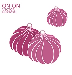 Onion Royalty Free Vector Image - VectorStock
