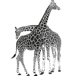 Inverse giraffe animal camouflage Royalty Free Vector Image