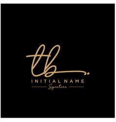 Initial tb signature logo template hand drawn Vector Image
