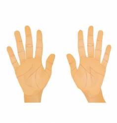 Hands realistic gestures human palms and fingers Vector Image