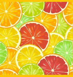 Fresh colorful citrus fruits seamless pattern Vector Image