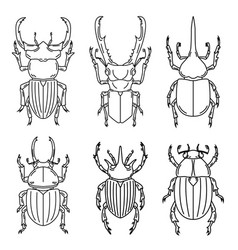 Insect set Royalty Free Vector Image - VectorStock