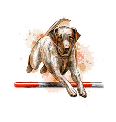 Jumping dogs Royalty Free Vector Image - VectorStock