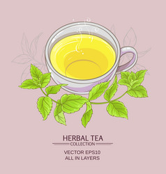 Peppermint tea Royalty Free Vector Image - VectorStock