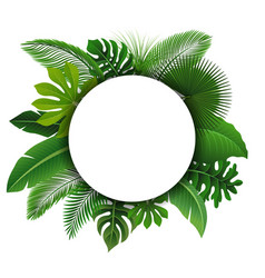 Sign with text space of tropical leaves suitable Vector Image