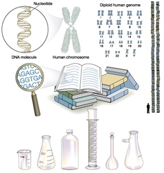 Doodle dna double helix Royalty Free Vector Image