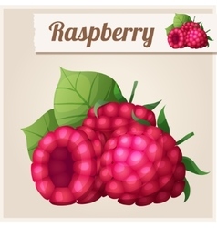 Detailed Icon Raspberry Royalty Free Vector Image