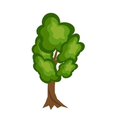 Olive oil and berries green tree organic Vector Image