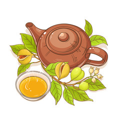Jasmine tea Royalty Free Vector Image - VectorStock