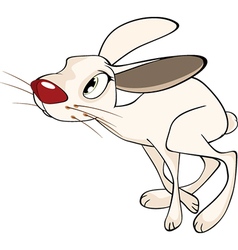 Cartoon white rabbit Royalty Free Vector Image