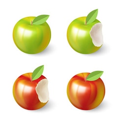 Apple shape Royalty Free Vector Image - VectorStock