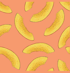Seamless pattern ripe tamarind in cross section Vector Image