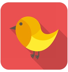 Robin bird isolated on white Royalty Free Vector Image