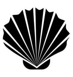 Conch shell varieties Royalty Free Vector Image