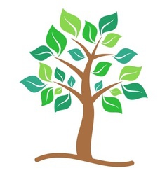 Spring tree corner Royalty Free Vector Image - VectorStock