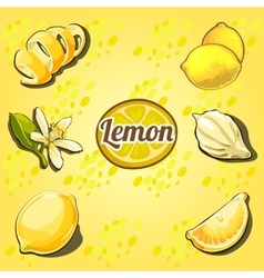 Lemon ellipsoidal yellow fruit with sour taste Vector Image