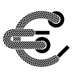 Female lacy shoe vintage lace Royalty Free Vector Image