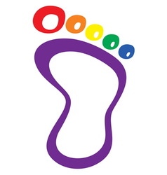 Foot arch types Royalty Free Vector Image - VectorStock