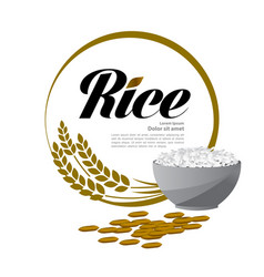 Premium rice great quality design concept Vector Image