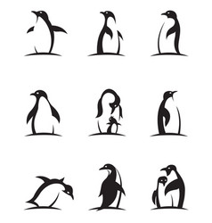 Penguin bird icon cute snow ice symbol Royalty Free Vector