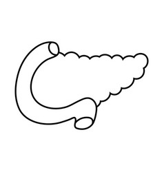 Pancreas cartoon flat style icon design Royalty Free Vector