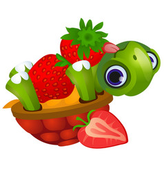 Funny turtle licks ripe strawberries isolated on Vector Image