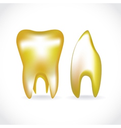 Golden Caduceus Royalty Free Vector Image - VectorStock