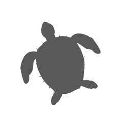 Turtle isolated on white background Royalty Free Vector