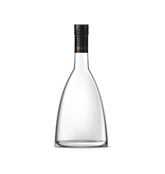 Alcohol drinks transparent Royalty Free Vector Image