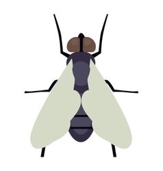 Fly cartoon Royalty Free Vector Image - VectorStock