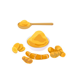 Curcuma root with slices cut Royalty Free Vector Image