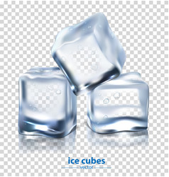 Ice cubes Royalty Free Vector Image - VectorStock