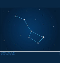 Constellation ursa major Royalty Free Vector Image