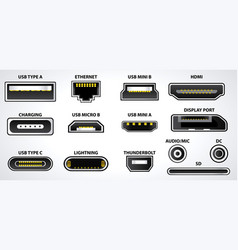 Various usb plug connector mini micro lightning Vector Image