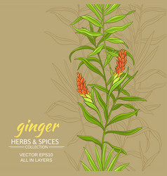 Ginger Royalty Free Vector Image - VectorStock